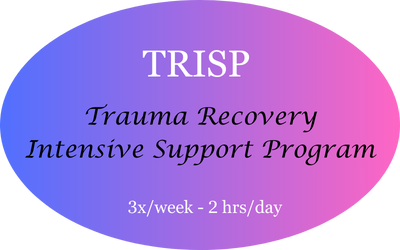 Trauma Recovery Intensive Support Program - Hope Recovery